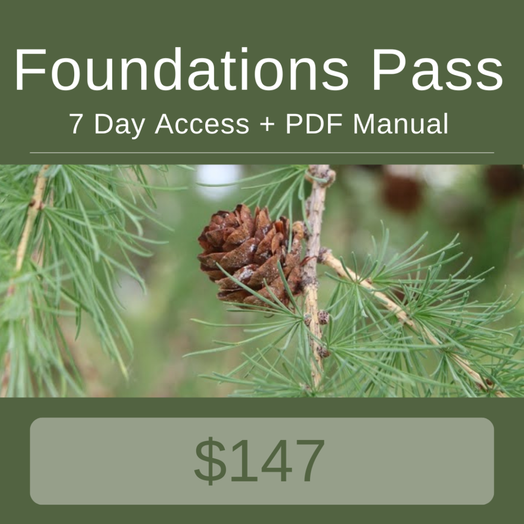 2024 Foundations Pass (PDF Manual) – Canadian Herb Conference